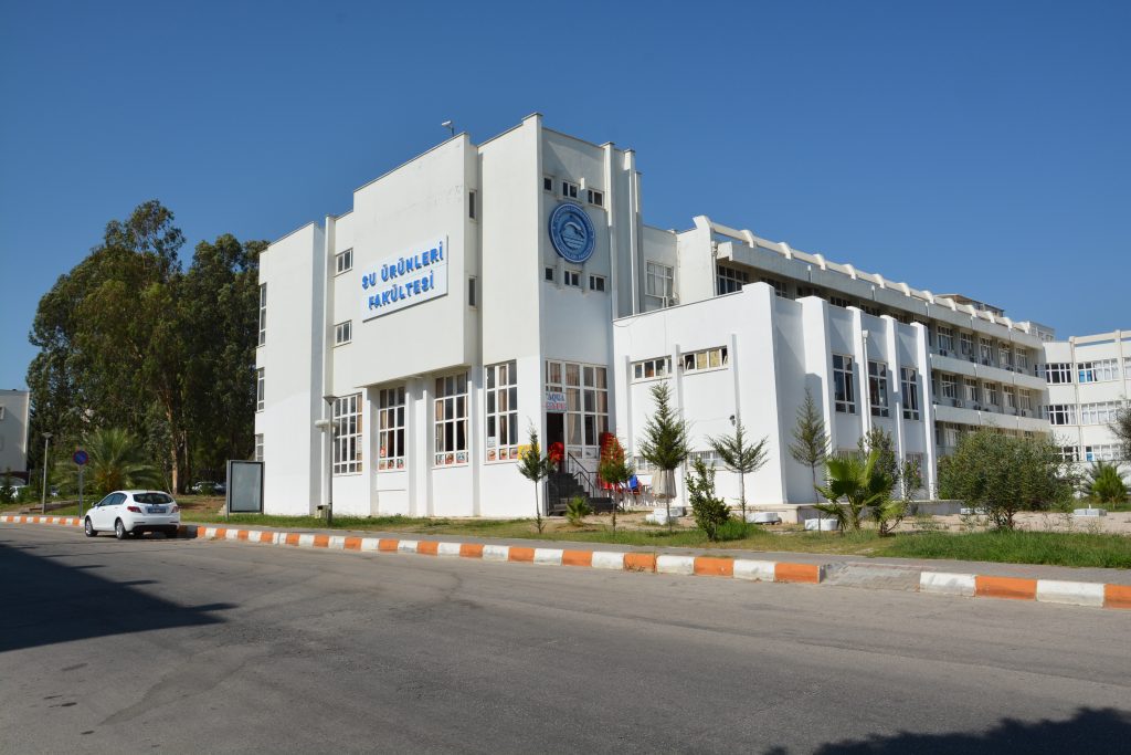 Universitas - Turknesia